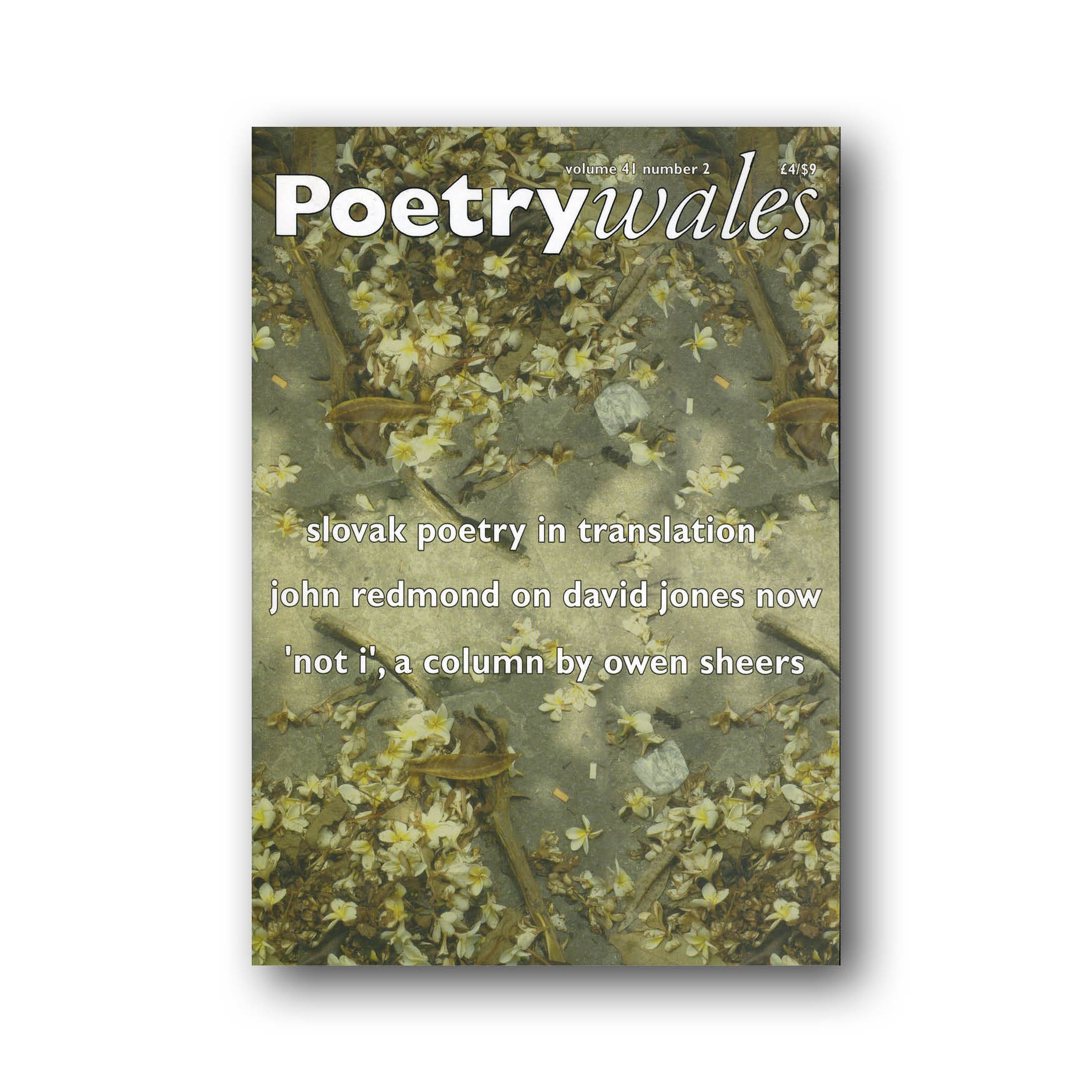 41.2 Autumn 2005 | Vol. 41 Issue 2 - Poetry Wales