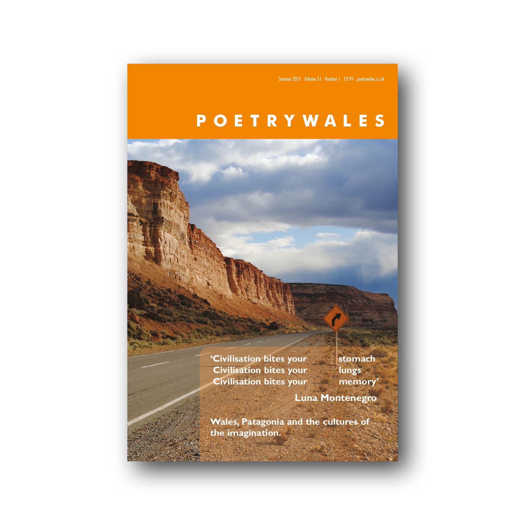 Summer 2015 | Vol. 51 Issue 1: Anne Cluysenaar Remembered - Poetry Wales