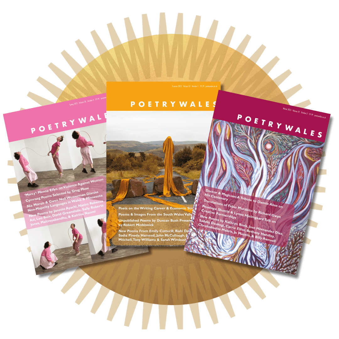 Poetry Wales Supporter Subscription - Poetry Wales