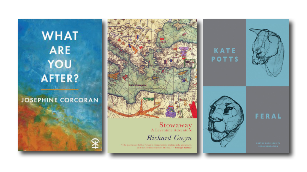 ‘What Are You After?’, ‘Stowaway’ and ‘Feral’ reviewed by Jonathan ...