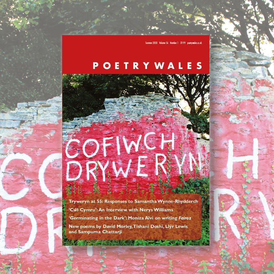 Summer 2020 | Tryweryn at 55 - Poetry Wales