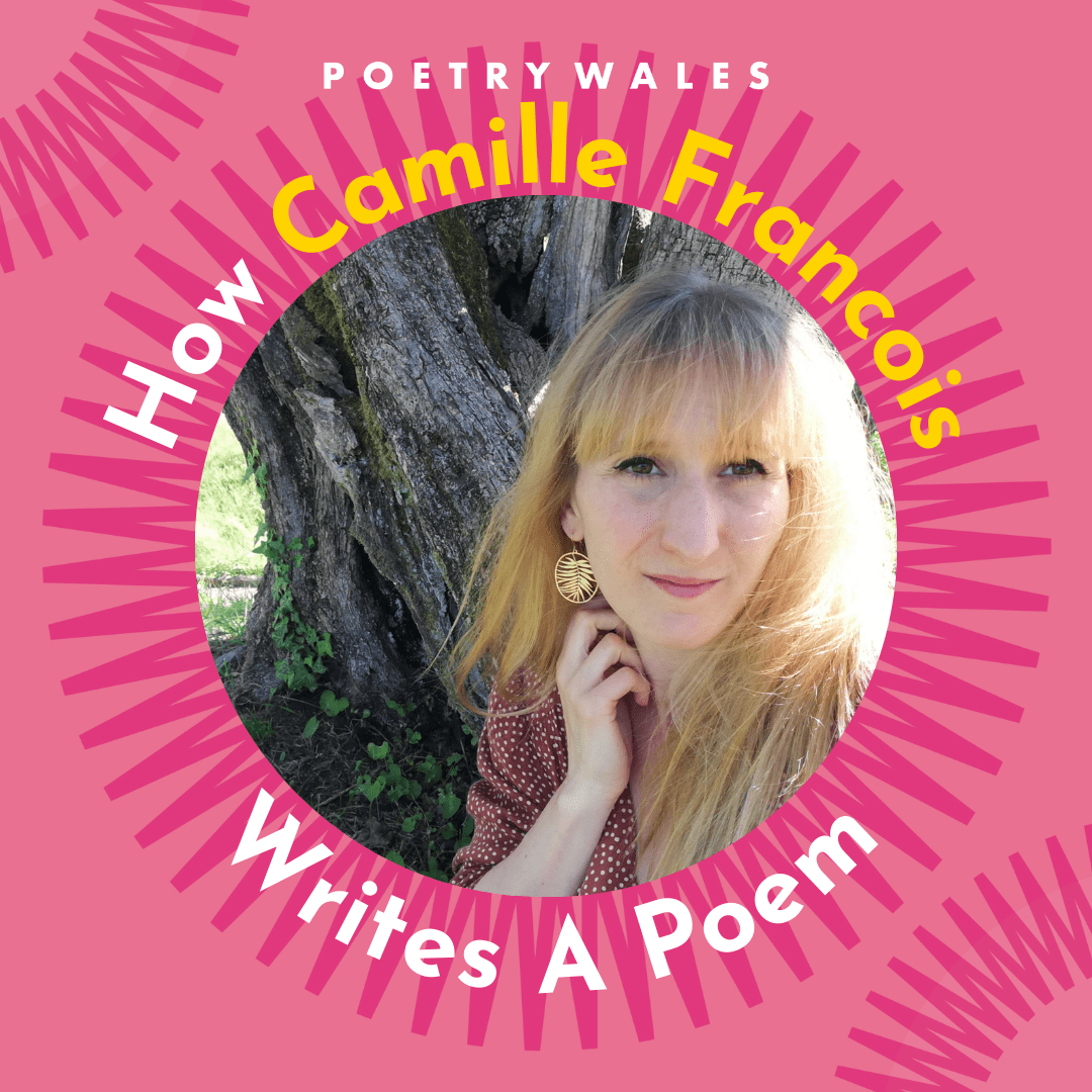 Camille Francois: How I Wrote 'Let us go down, and there confound ...