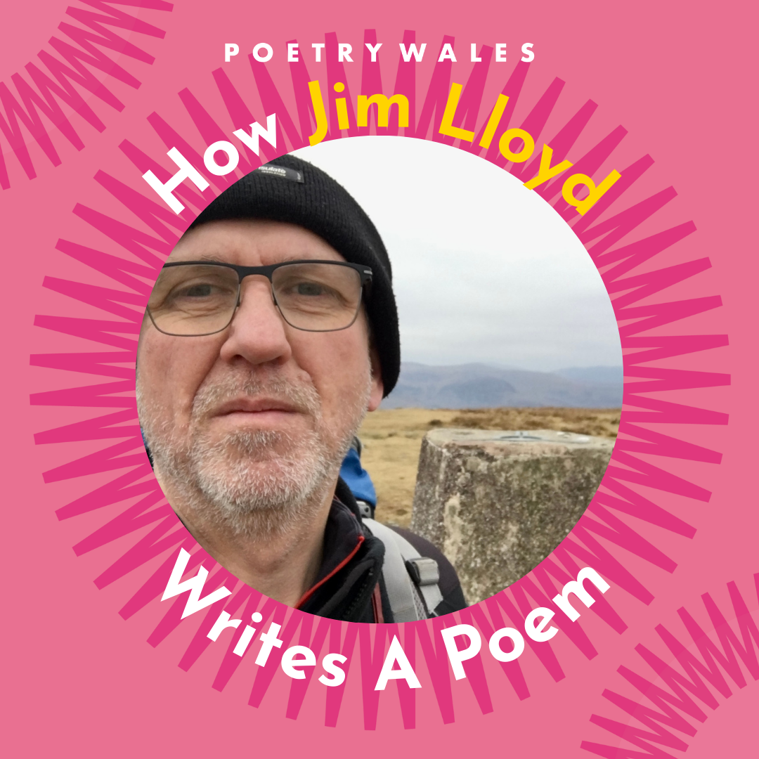 Jim Lloyd: How I Wrote 'The Mistle Thrush' - Poetry Wales