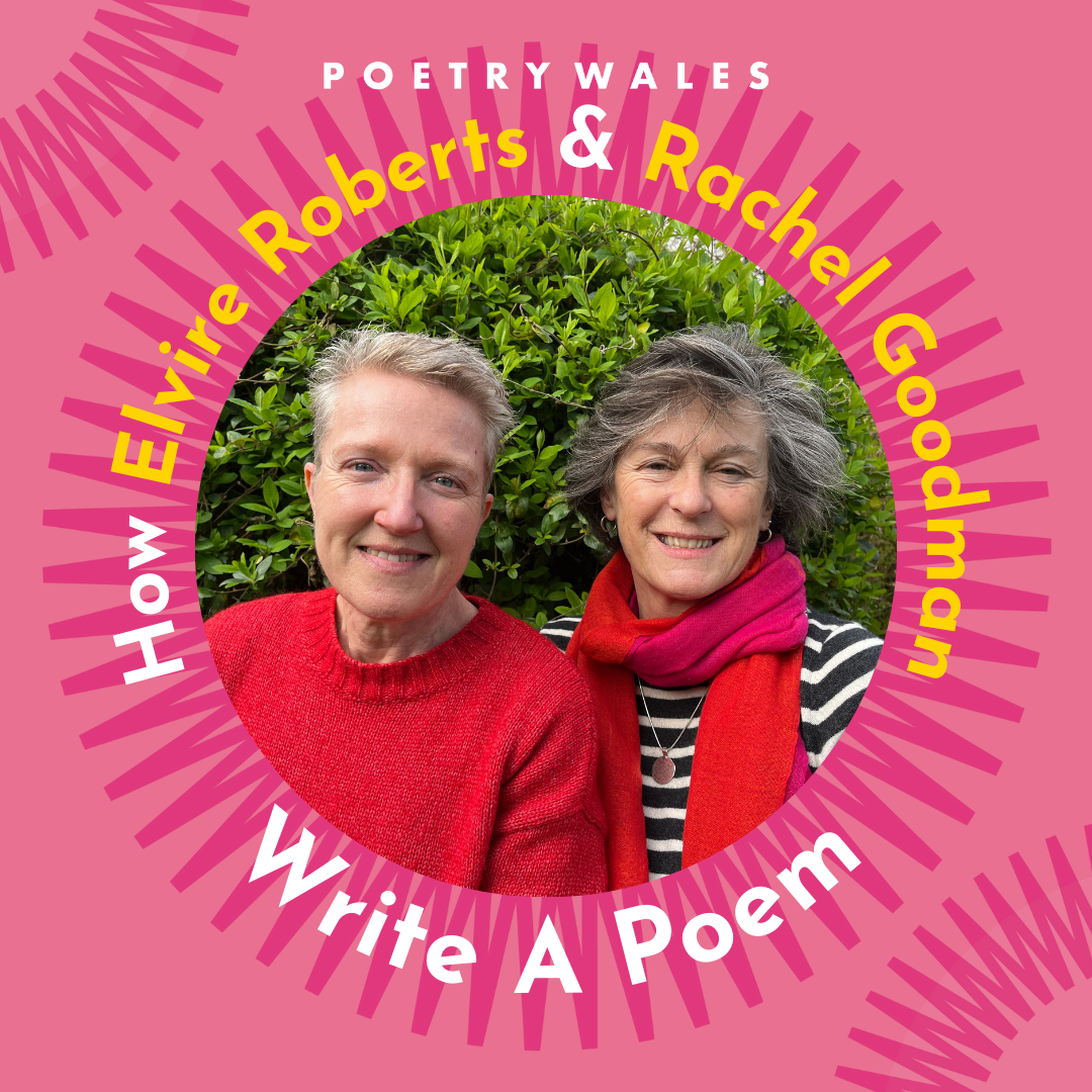 Elvire Roberts and Rachel Goodman: How We Wrote 'Methods of Thirteen ...