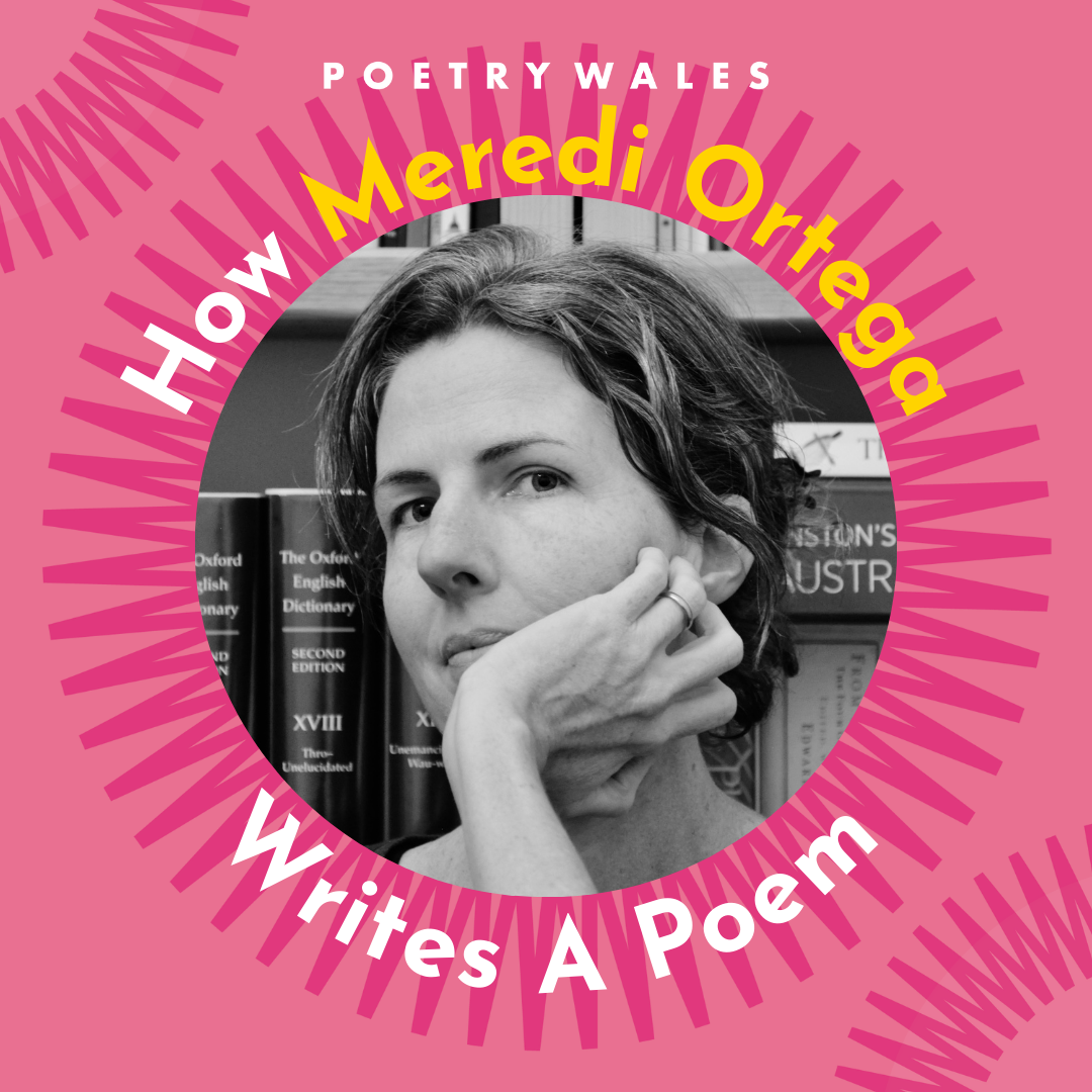 Meredi Ortega: How I Wrote 'Solo' - Poetry Wales